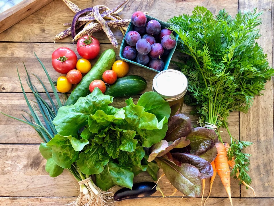 Quality Definitions For Produce The Forbes Family Farm Quality Definitions For Produce The Forbes Family Farm