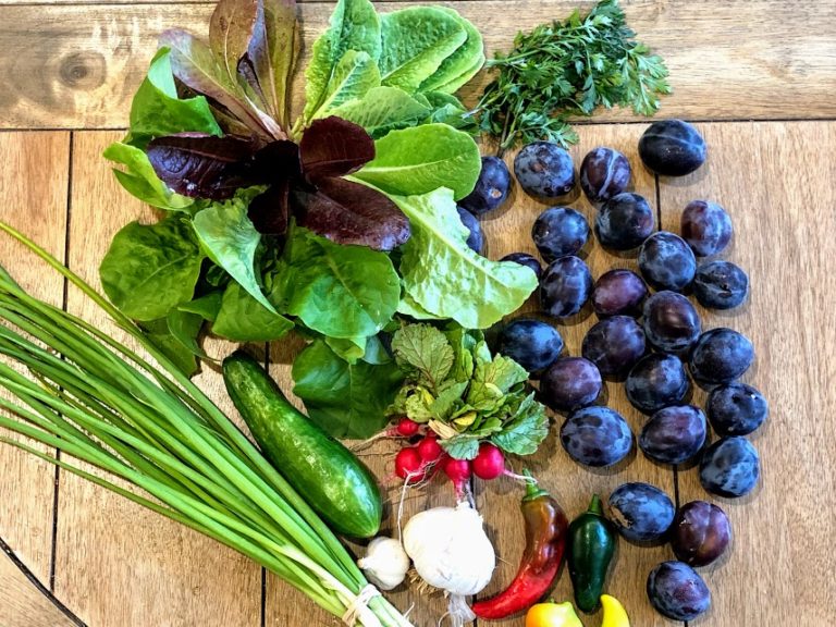 Introducing the Forbes Family Farm CSA - The Forbes Family Farm