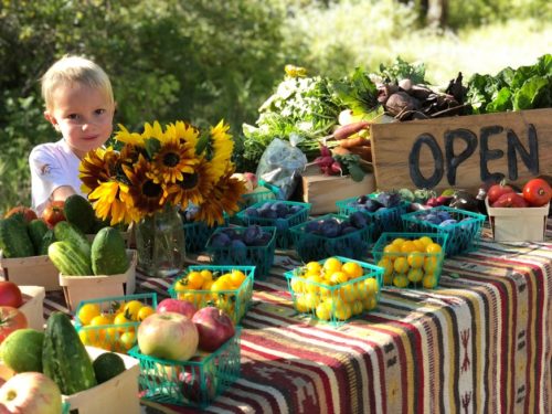 What’s so unique about Farm-to-Table dining? - The Forbes Family Farm